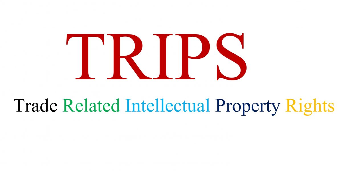 How the TRIPS Agreement Impacts Global Intellectual Property Policies ...