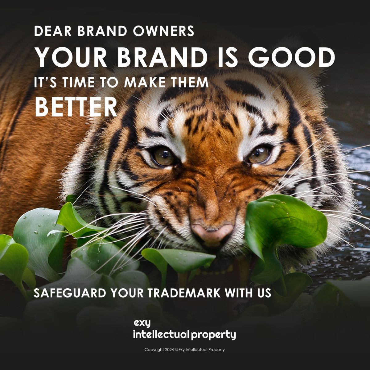 Dear Brand Owners... - ExyIp