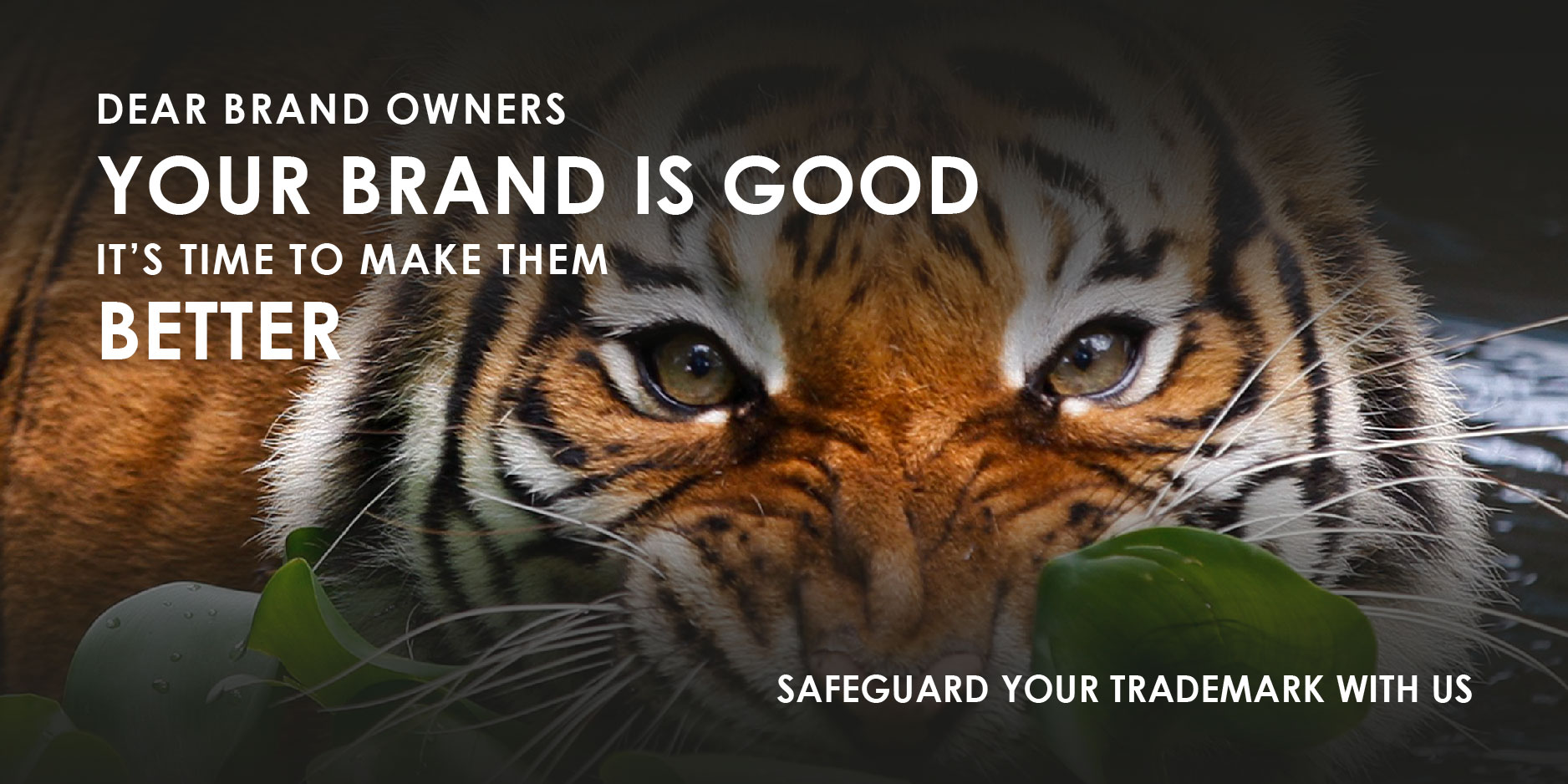 Dear Brand Owners... - ExyIp