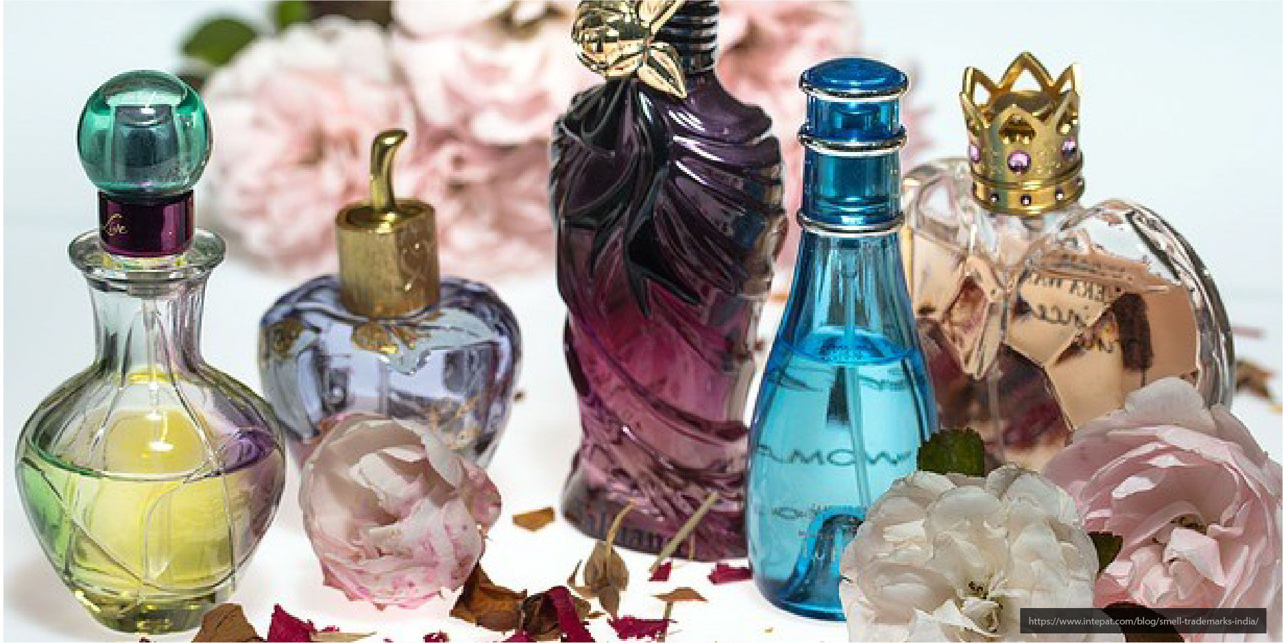 Famous Trademark Case to Learn From | re Celia, dba Clarke's Osewez, 17 ...